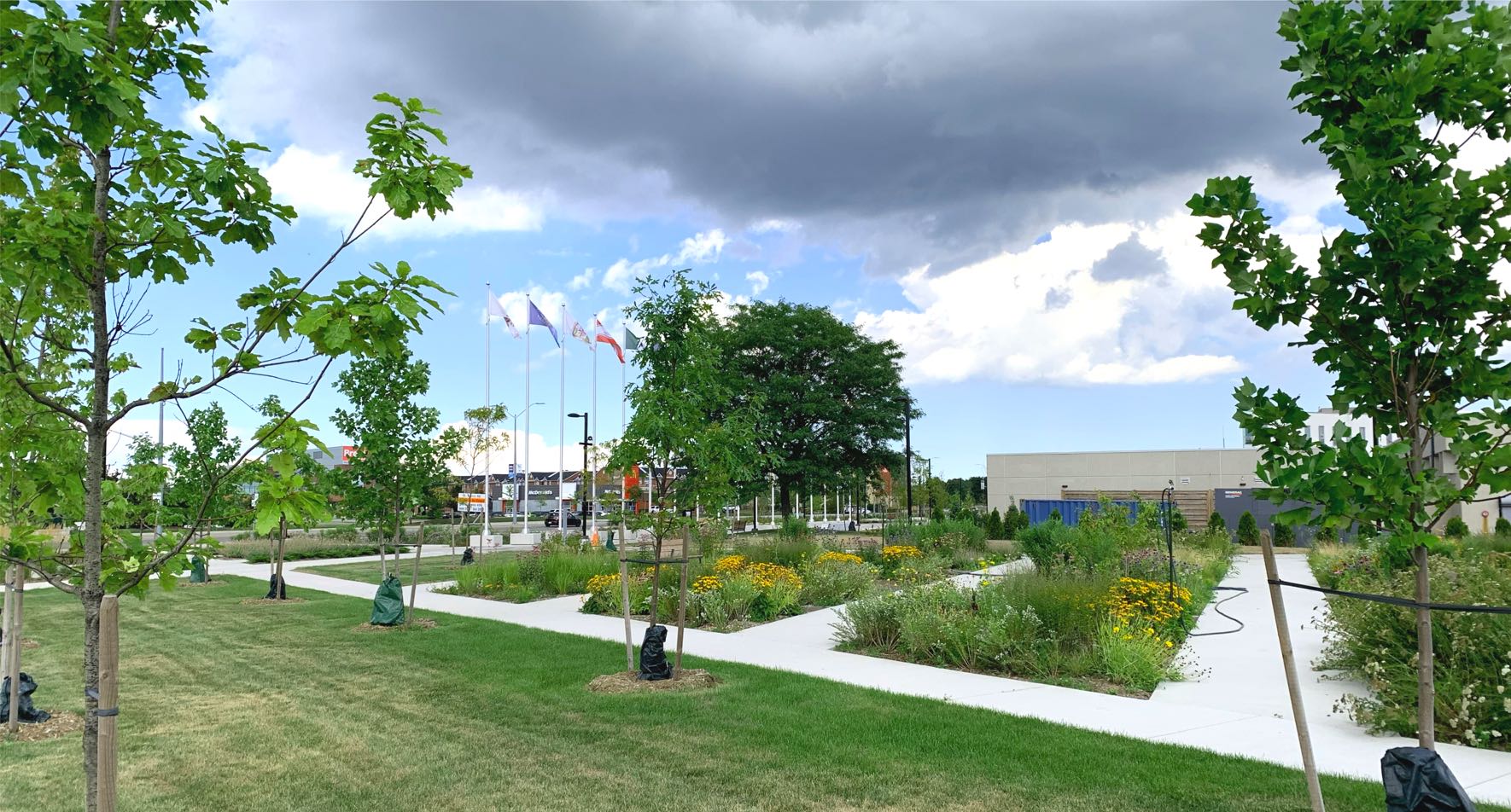 NiagaraDev — International Plaza