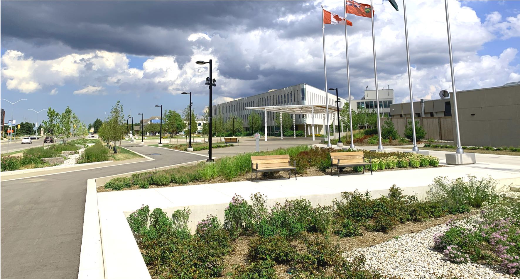 NiagaraDev — International Plaza